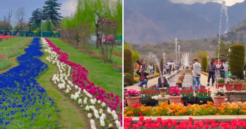 A Perfect Vacation in Srinagar: Things to do