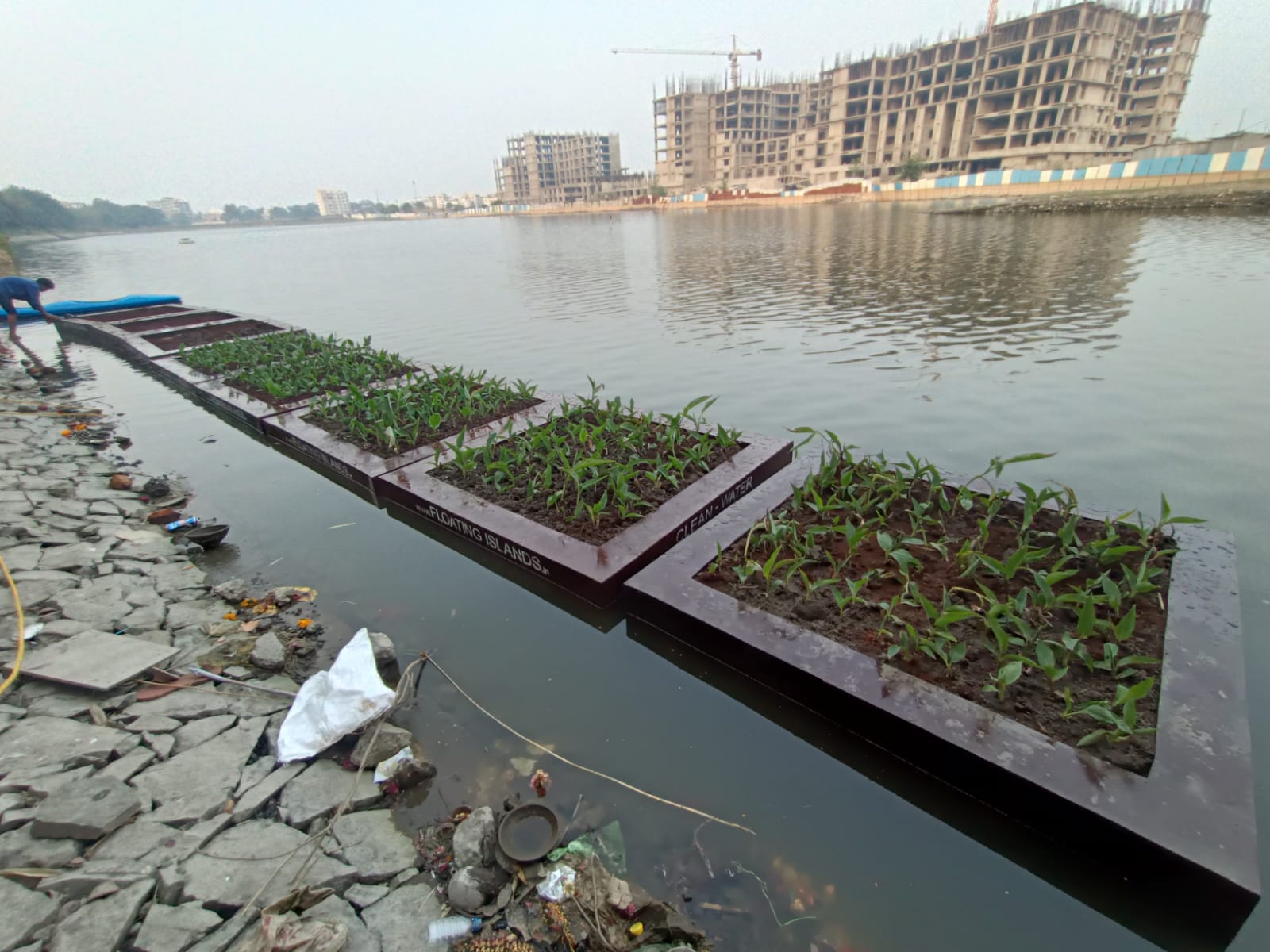 This IIT Bombay Alumnus Is Using Unique Floating Islands To Keep Water ...
