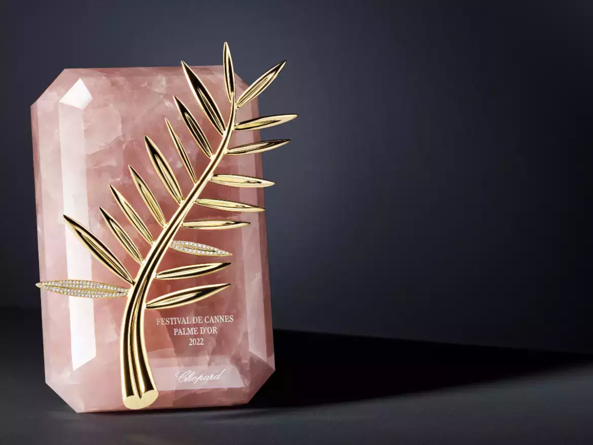 Ticket Expenses and Rewards For Cannes