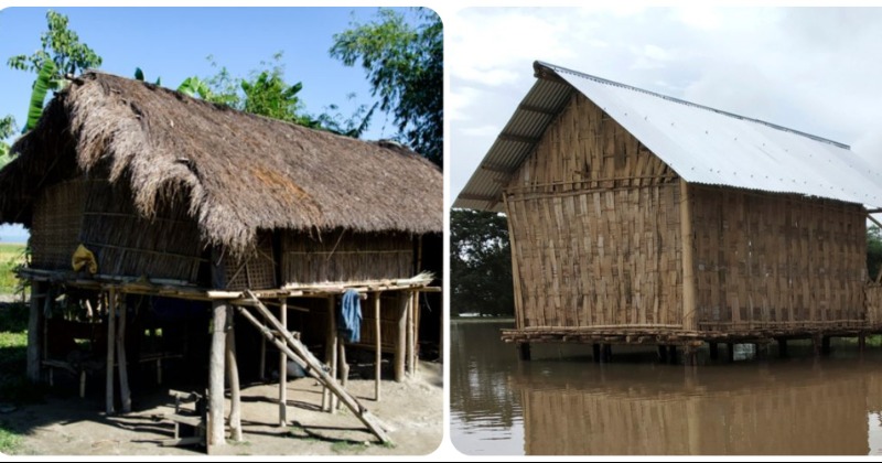 How Mising Community's Housing Model Can Solve Assam's Flood Problem ...