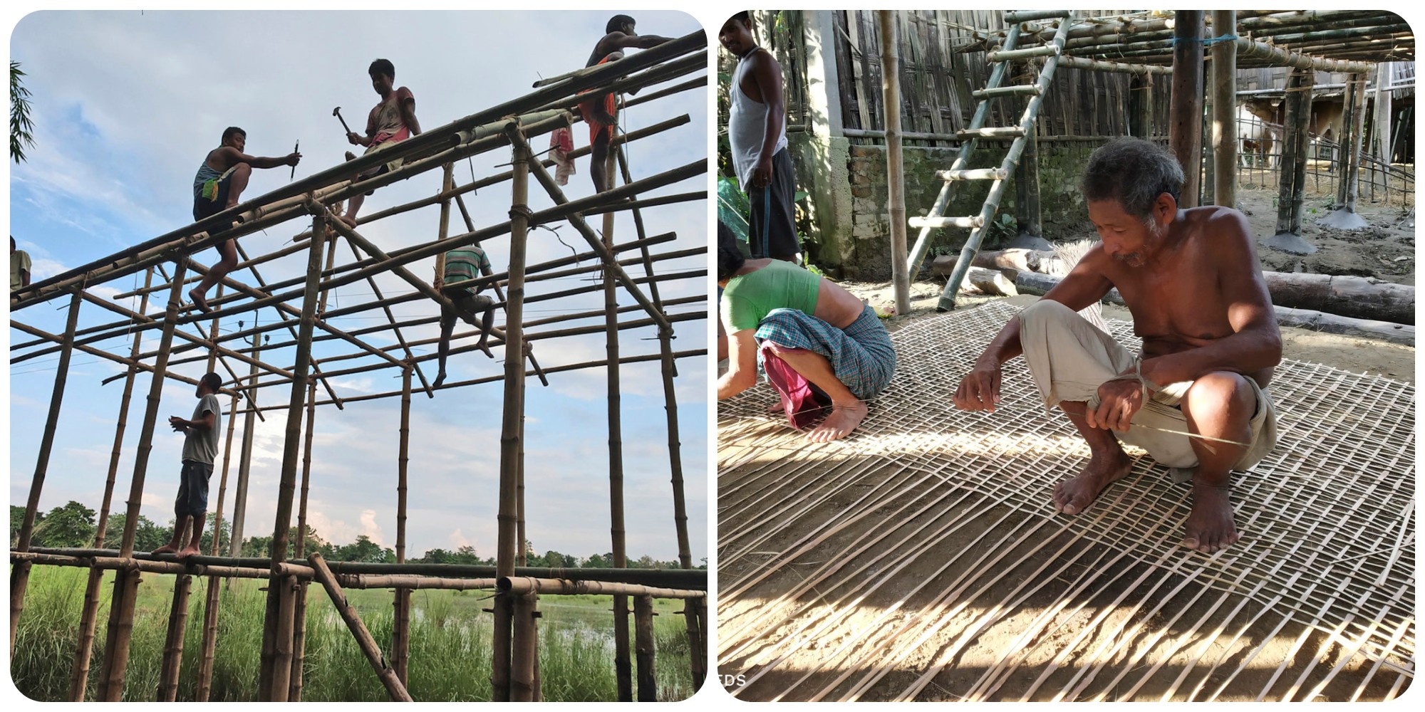 How Mising Community's Housing Model Can Solve Assam's Flood Problem ...