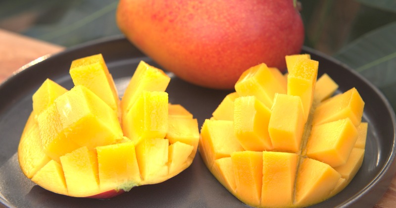 This Farmer Sells World's Most Expensive Mangoes At Nearly Rs 19,000 ...