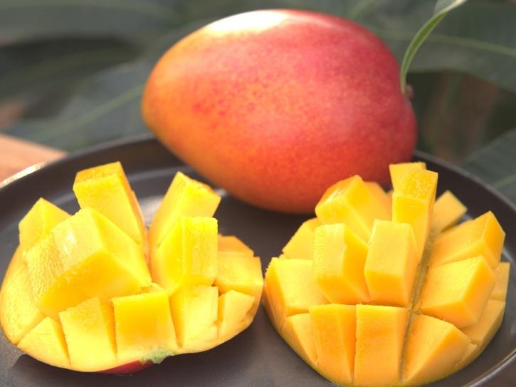 This Farmer Sells World's Most Expensive Mangoes At Nearly Rs 19,000 ...