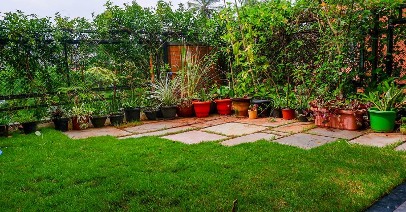 गर्मियों में घर पर Terrace Garden बनाने जा रहे हैं तो इन 11 Best Tips ...