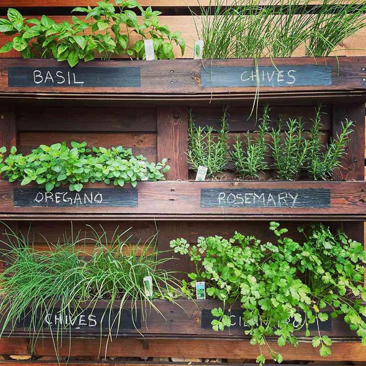 Vertical Herb Garden