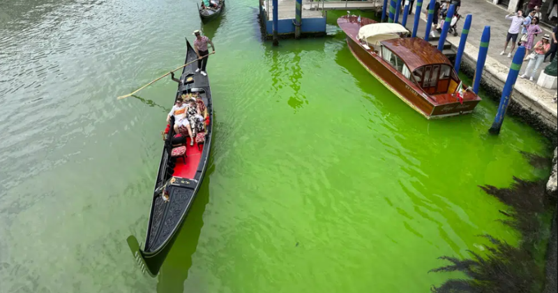 Venice Baffled As Famous Canal Turns Fluorescent Green, Authorities ...