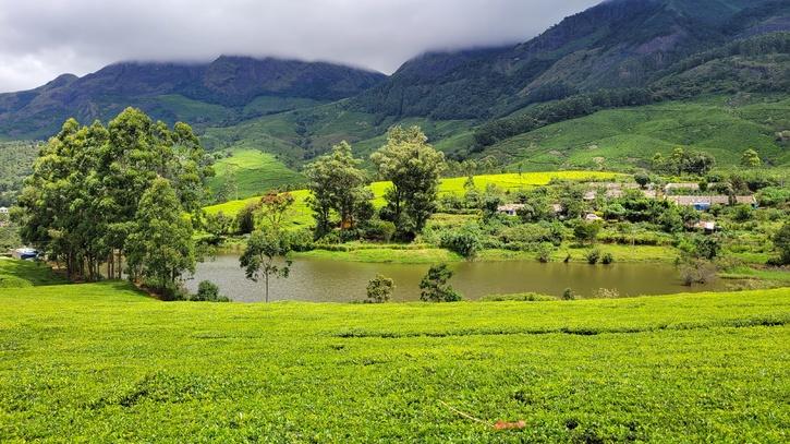 Kolukkumalai - Sip Tea Grown On World's Highest Altitude And Enjoy Best ...