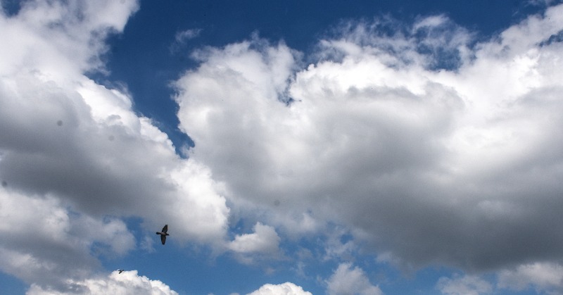 Delhi Air Pollution: Government Explores Cloud Seeding To Induce ...