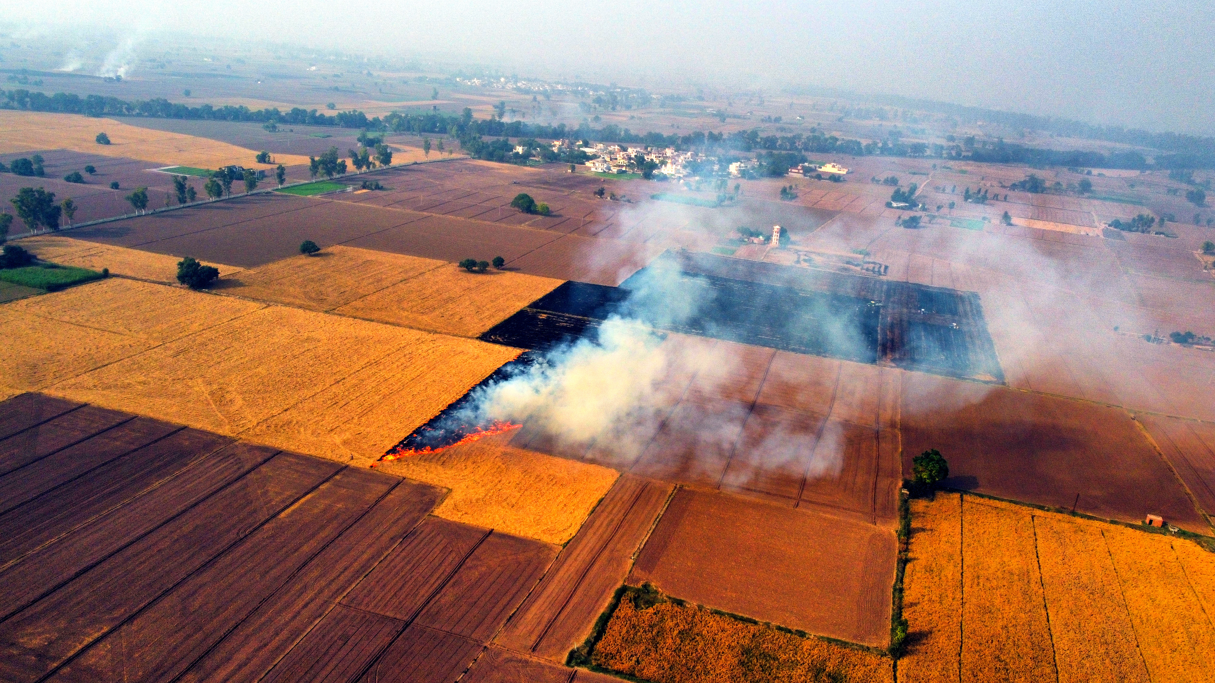 Stubble Burning: 'We Don't Know How, But You Should Stop It,' Supreme ...
