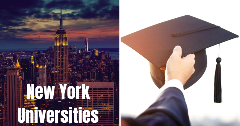 Best Colleges For Mass Communication In New York