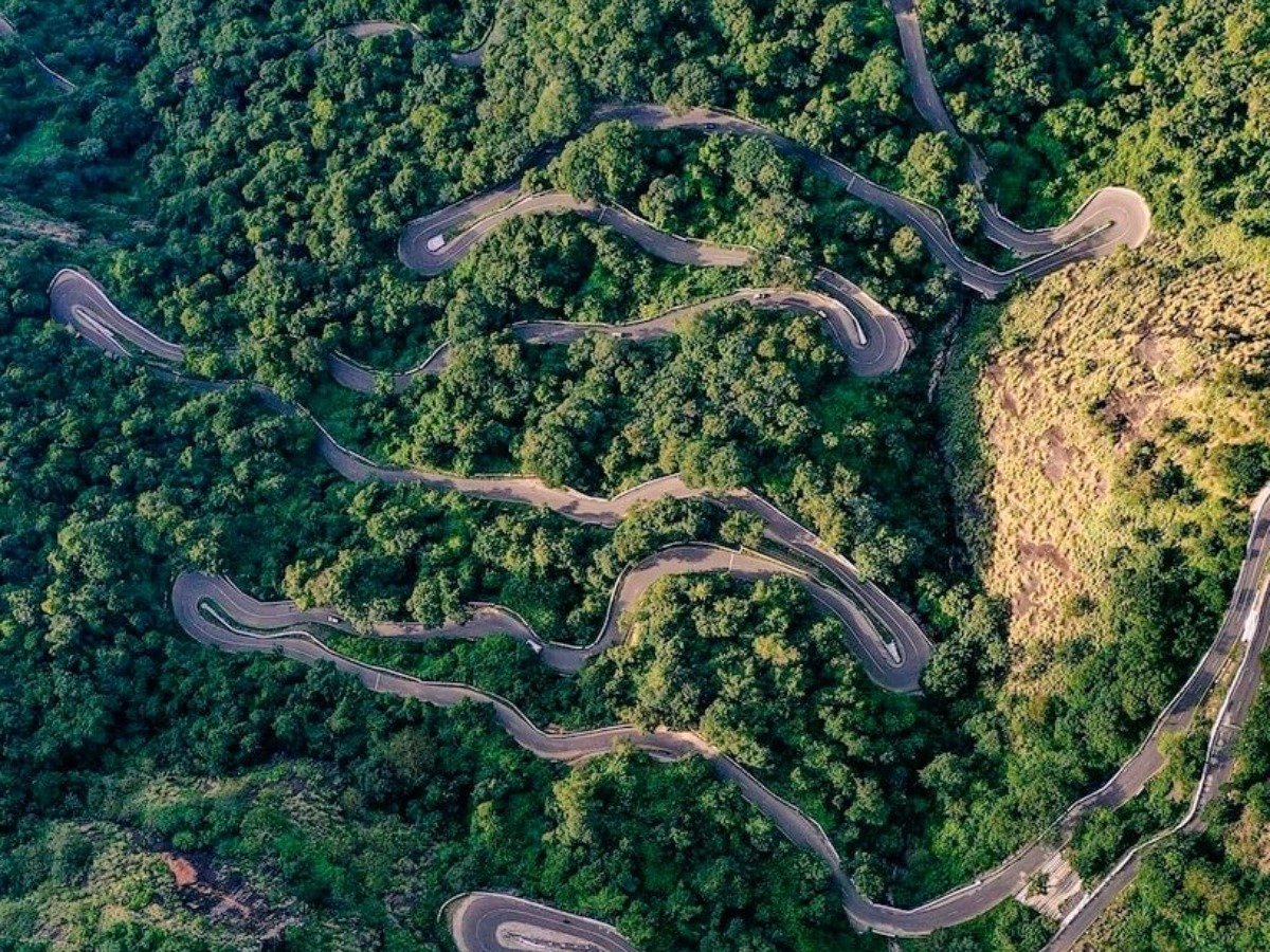 Would You Take A Road Trip In Valparai, Across 40 Hairpin Bends?