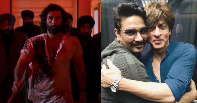 Animal Trailer Stuns Fans, Mukesh Chhabra Claims Dunki Is Better Than 3 ...