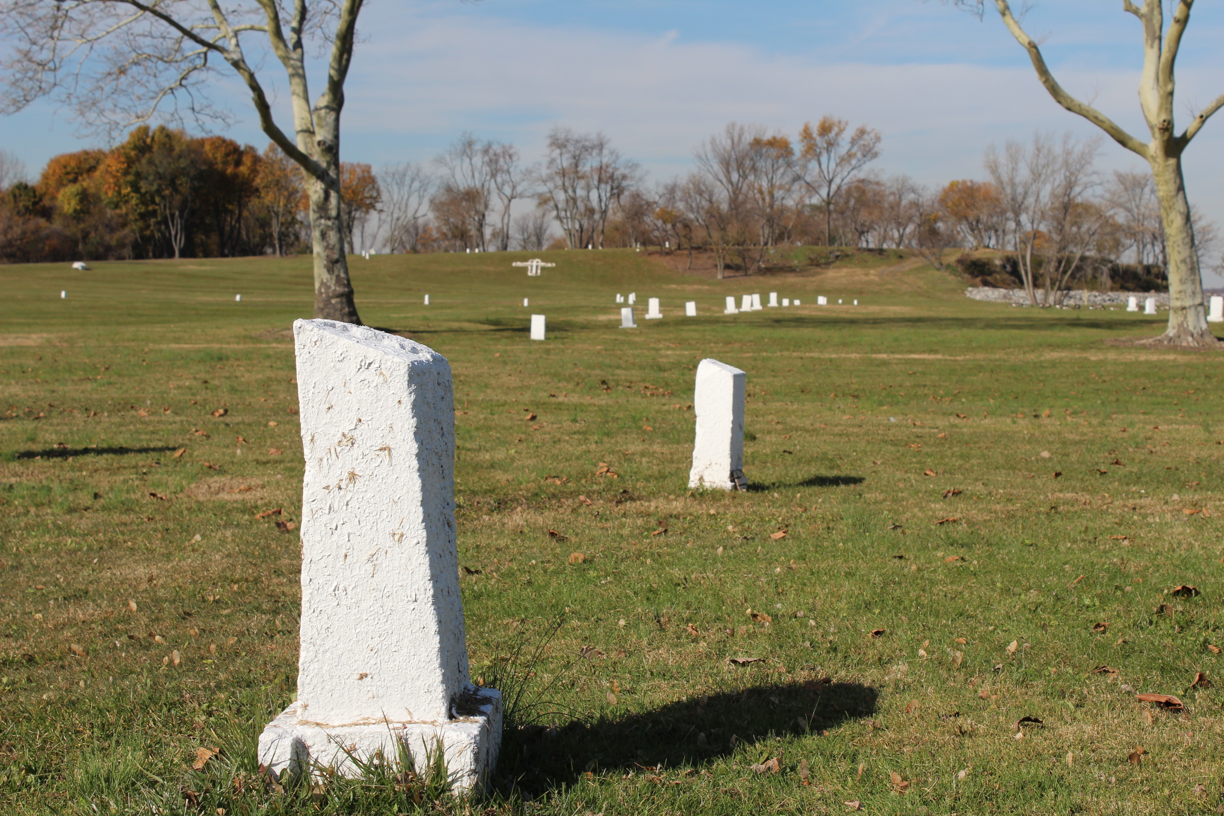New York City's Mysterious Hart Island Opens For First-Ever Walking Tours