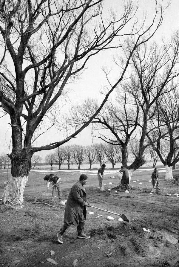New York City's Mysterious Hart Island Opens For First-Ever Walking Tours