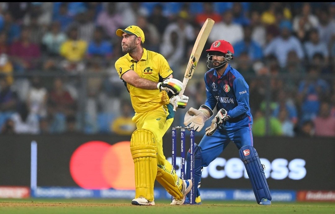 World Cup 2023: Was Maxwell's AFG Win All Thanks To MS Dhoni?