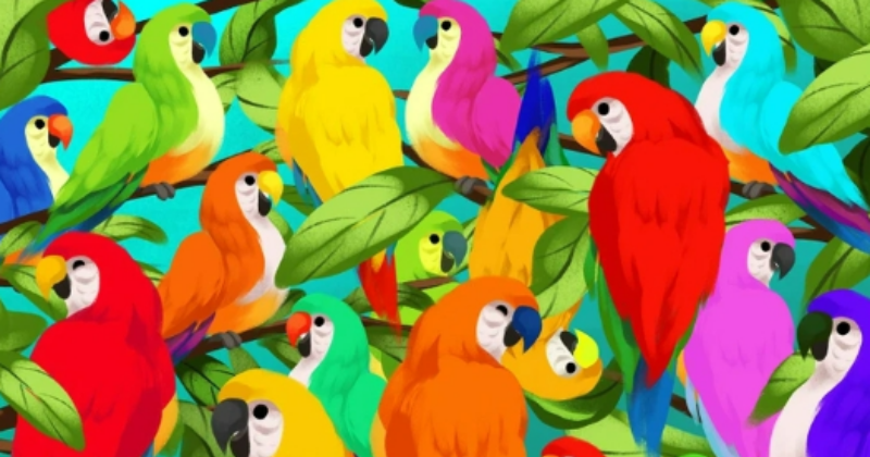 Optical Illusion: Find The Animal Chameleon Hidden Among The Parrots