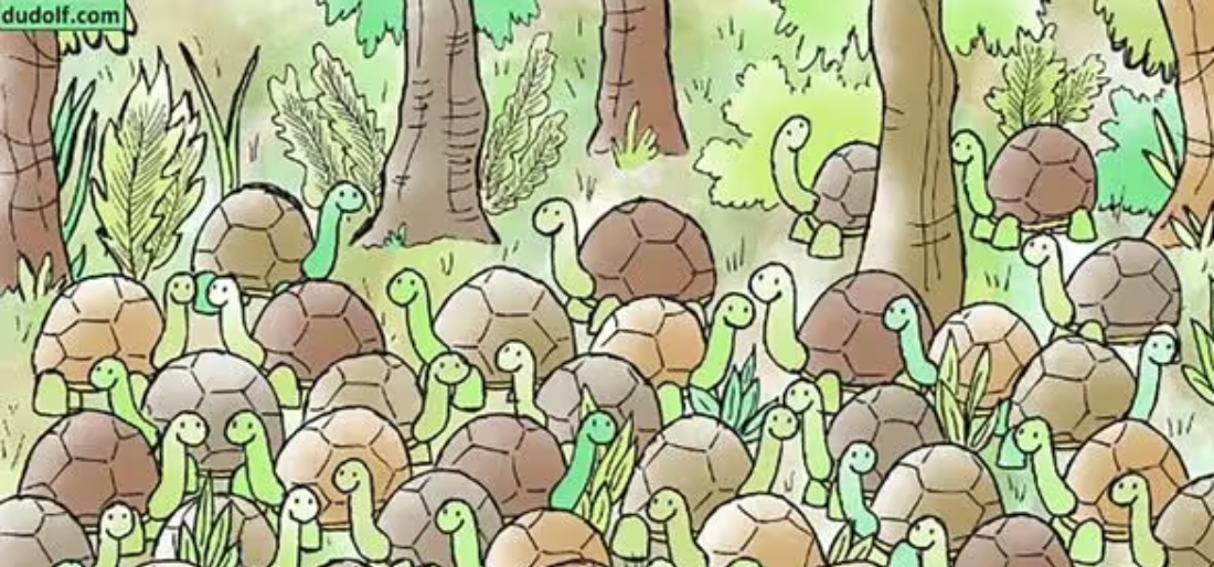 Optical Illusion: Find The Hidden Snake In 9 Secs Optical Illusion: Find The Hidden Snake In 9 Secs