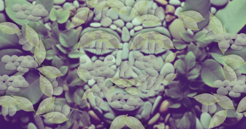 Optical Illusion Personality Test Will Reveal Your Hidden Traits