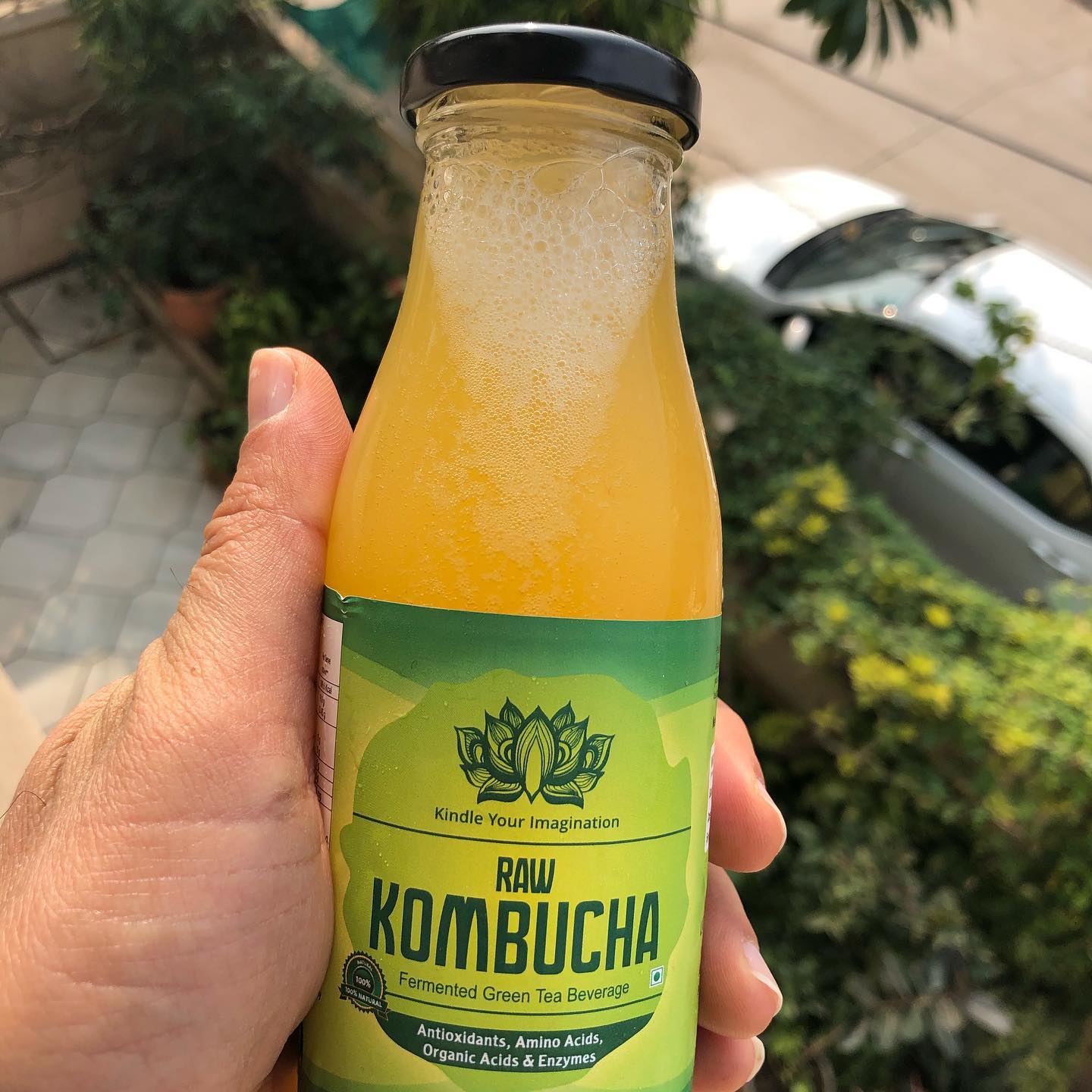 Gut Instinct: Why Kombucha Is The New Poster Child Of Fermented Foods ...