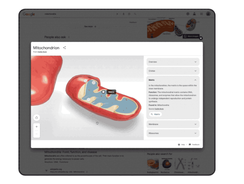 How To Use Google Search Tools To Solve Maths And Science Problems