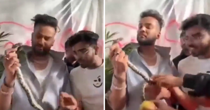 Elvish Yadav Case: How Dangerous Is Snake Venom Drug; Here's Everything ...