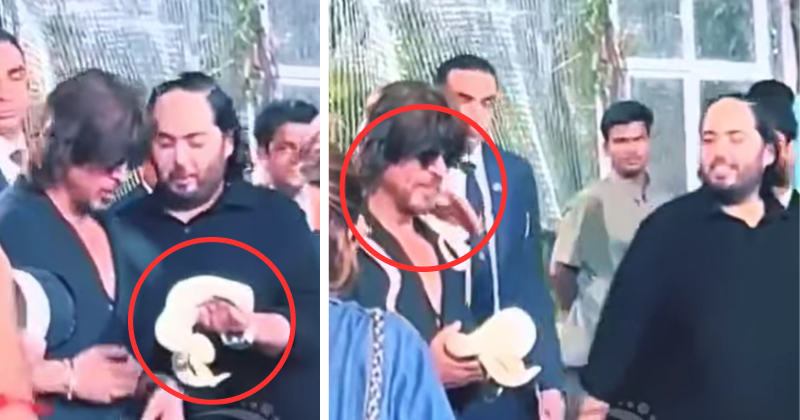 This Video Of Anant Ambani Handing Over A Snake To Shah Rukh Khan At A ...