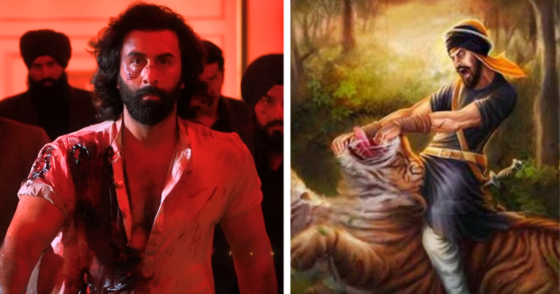 The Meaning And Story Behind Animal Song 'Arjan Vailly'