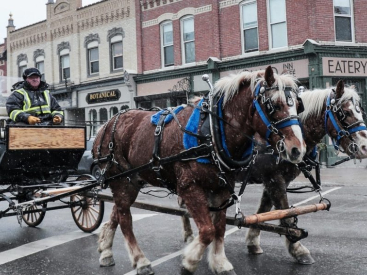 Broke But Want To Feel Festive? Ontario Town's Free Carriage Rides Have ...