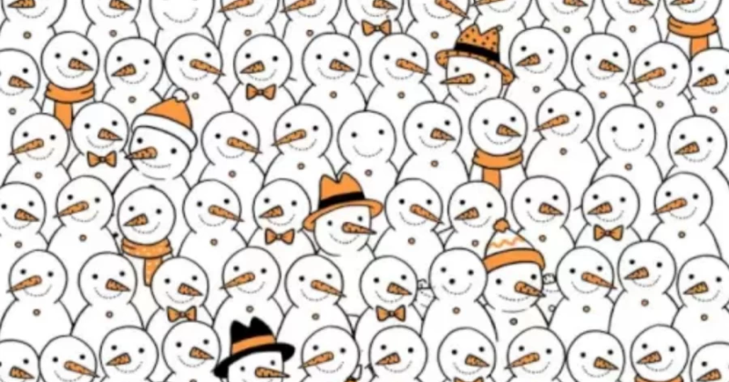Optical Illusion: Can You Find The Five Noseless Snowmen