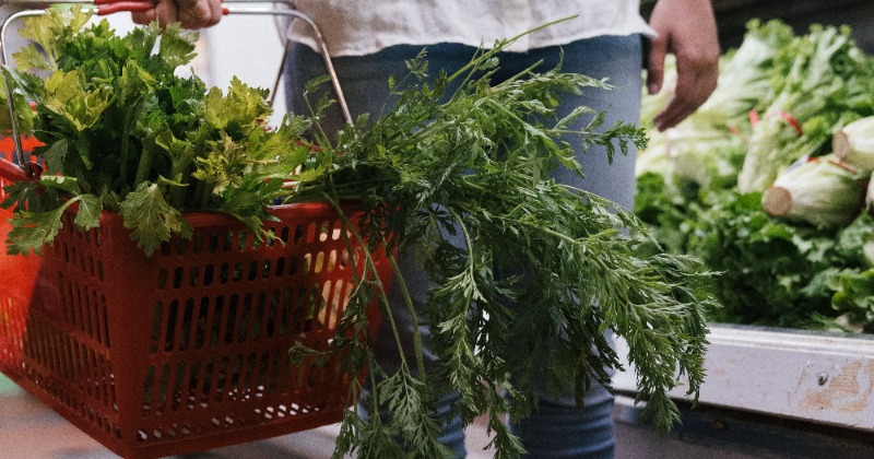 Five Super-Healthy Leafy Greens You Should Consume