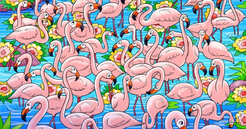 Brain Teaser: Only Genius Can Spot The Girl Among Flamingos In 6 Seconds