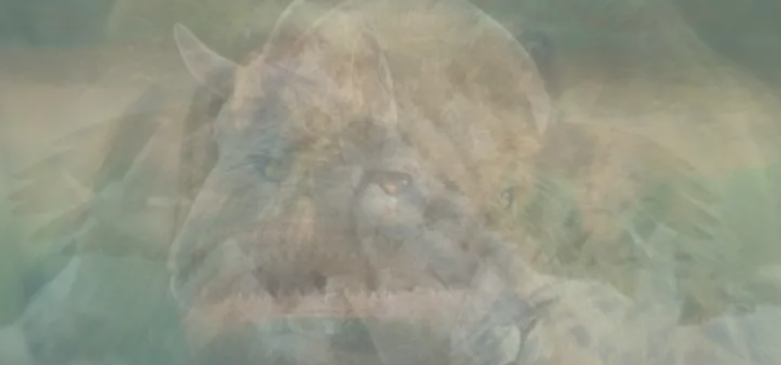 Optical Illusion: Find All 8 Animals And What You See First Reveals ...