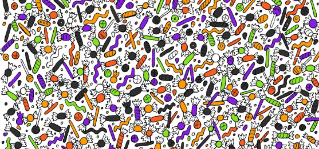 Optical Illusion: Spot The Spider