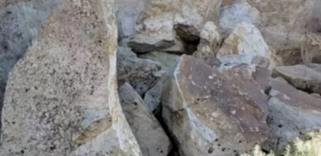 Find The Hidden Rabbit In This Optical Illusion