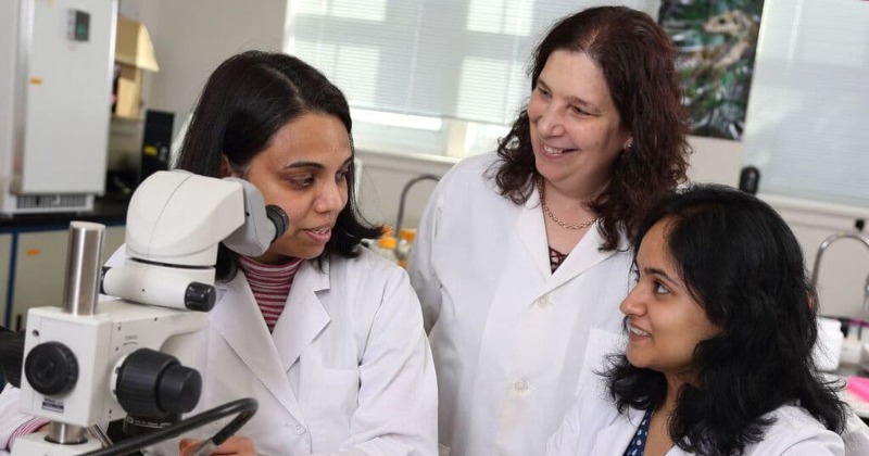 Spotlight On Inclusive Research As Women Left Out Of Drug Research ...