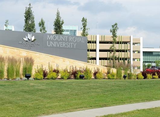 What Are The Top 6 Colleges In Calgary For Indian Students In 2023?