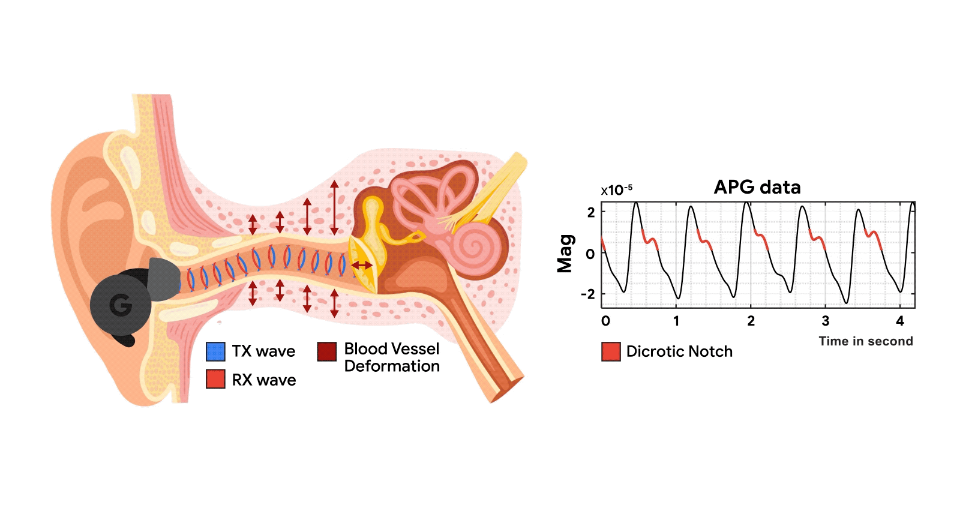 Google Can Turn Any ANC Earbuds Into Cardiac Monitors With A Software ...