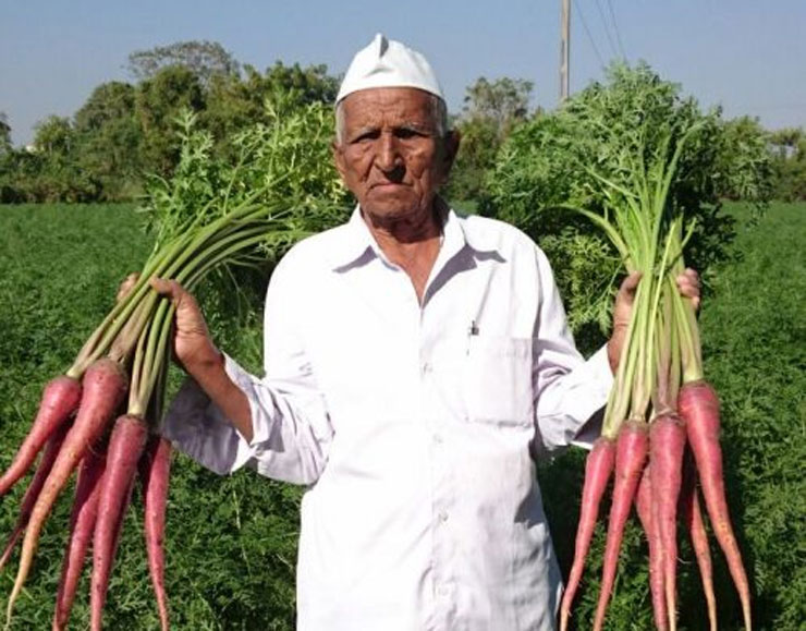 Smart Kheti: ‘मैंगो मैन’ से लेकर ‘बनाना किंग’ तक, इन किसानों ने साबित ...