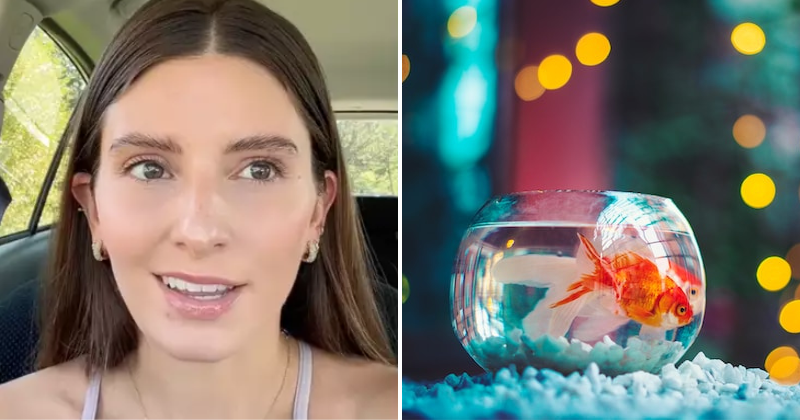 Woman Shares Theory About Humans Having Goldfish Brain