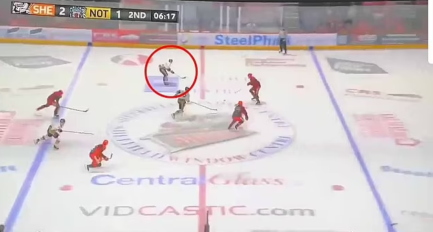 American Ice Hockey Player, 29, Dies After Skate Slashes His Throat ...