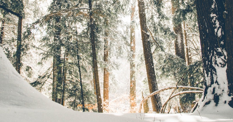 Best Places To Witness Snowfall In India