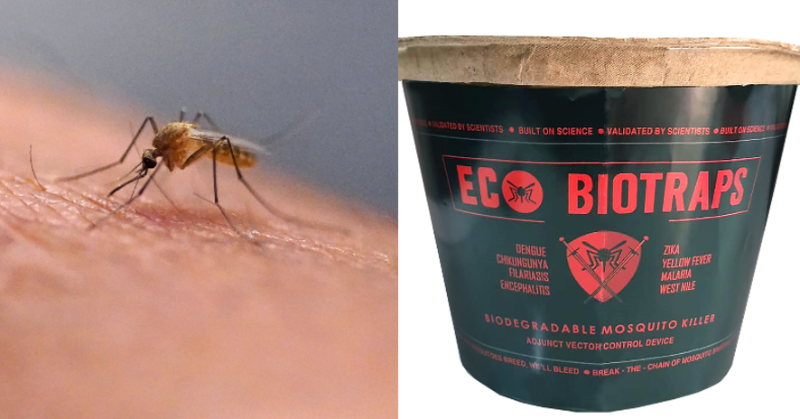 This Eco Trap Made From Recycled Boxes Can Prevent Dengue And Malaria ...