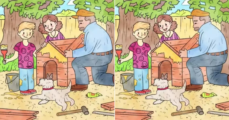 Optical Illusion Challenge Reveals Vision Level