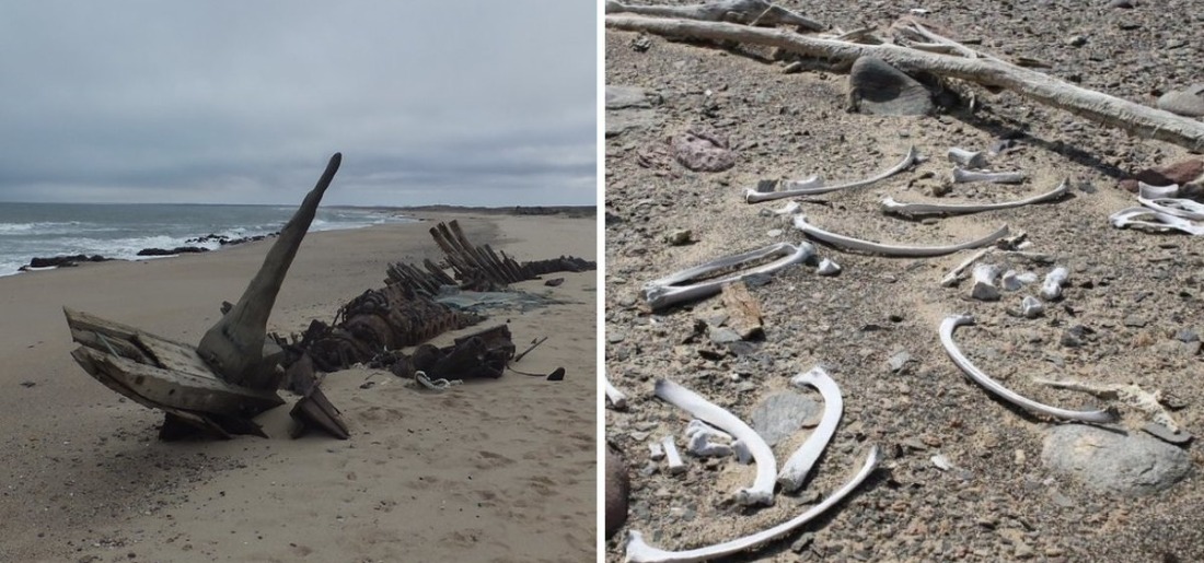 Skeleton Coast: दुनिया का सबसे ख़ूबसूरत Beach जिसे भगवान ने गुस्से में ...