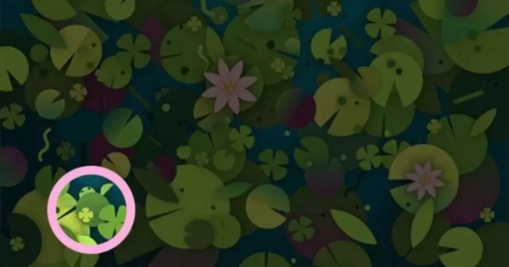 Find The Hidden Turtle In This Optical Illusion