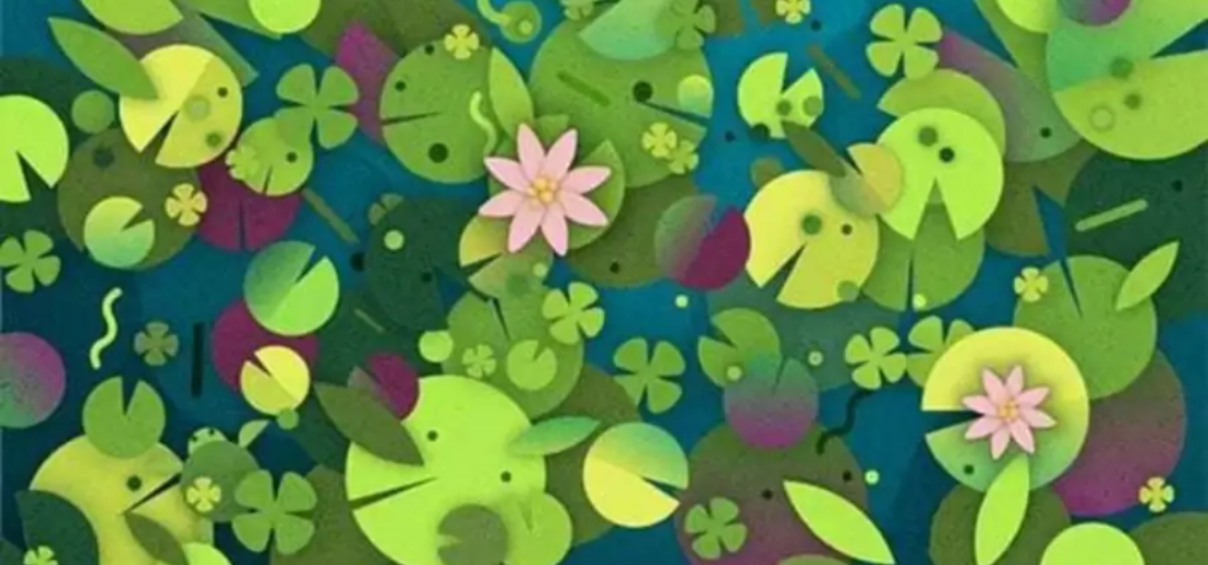 Find The Hidden Turtle In This Optical Illusion