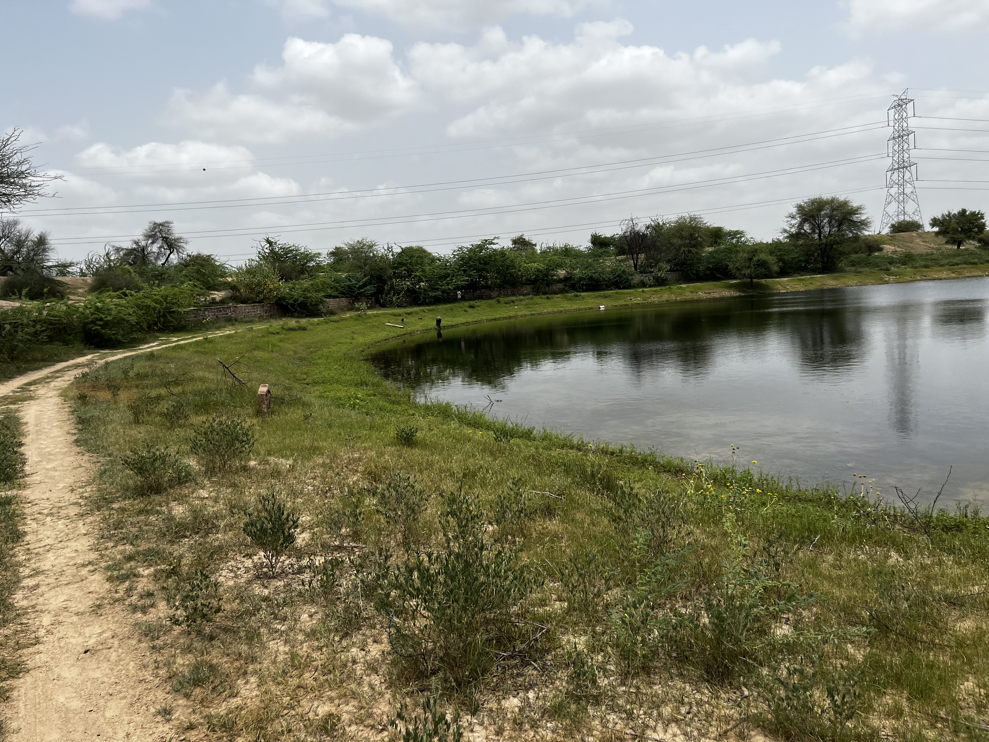 New Appreciation For Ancient Ponds Spurs Desert Communities In Rajasthan