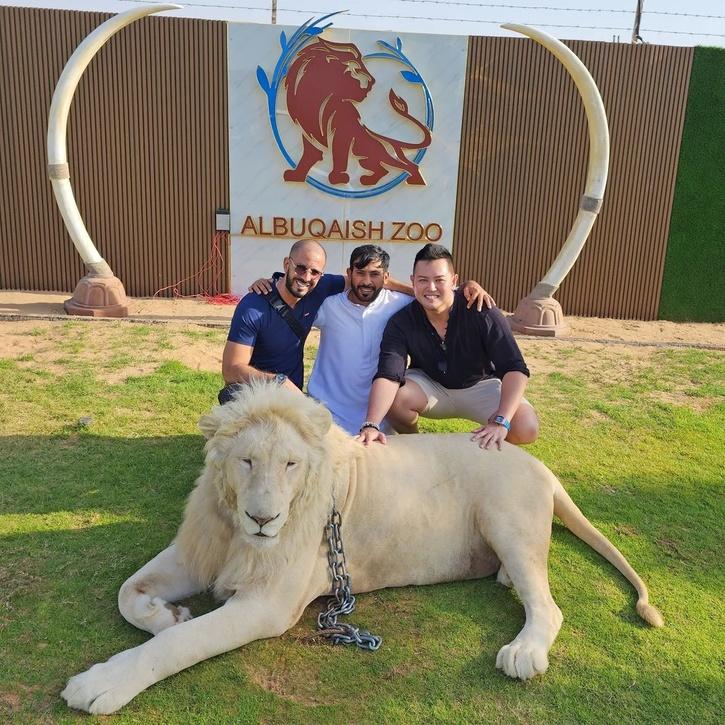 Dubai Zoo Owner Pranks Swimmers, Releases Tiger Into Pool