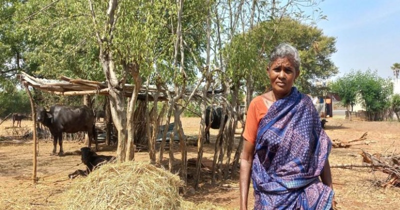 Uthukuli Butter: The Case Of Missing Buffaloes And A Small Town’s Identity