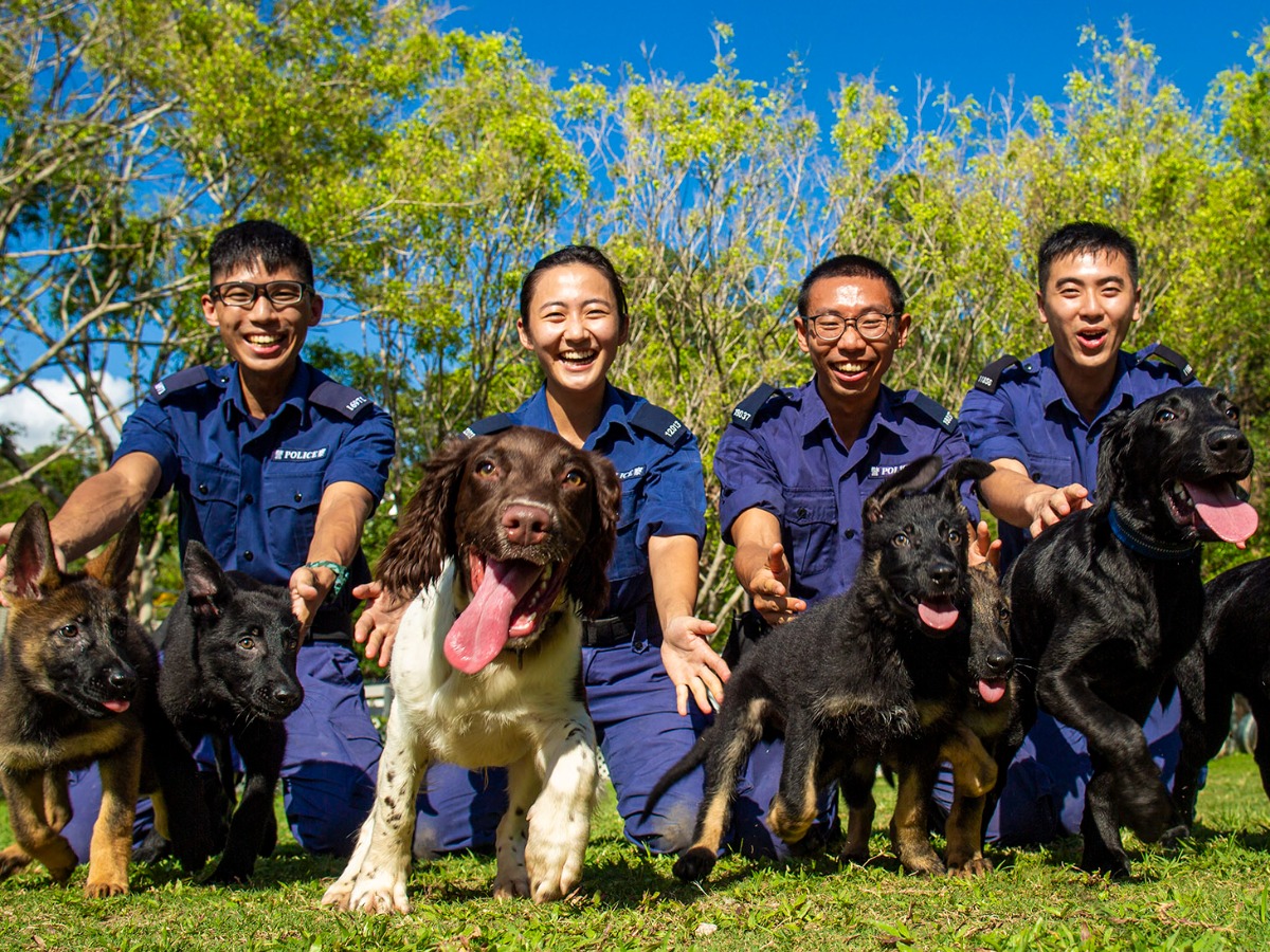 Furry Soldiers Inducted In G20 2023 Security: Here's A Look At Dog ...
